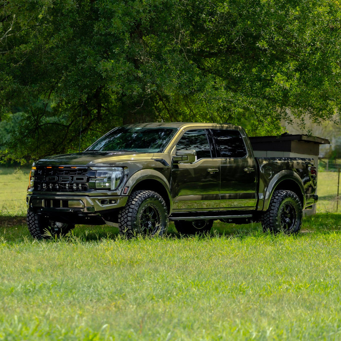Custom Ford Raptor Builds | Wild Willies Custom Accessories GA