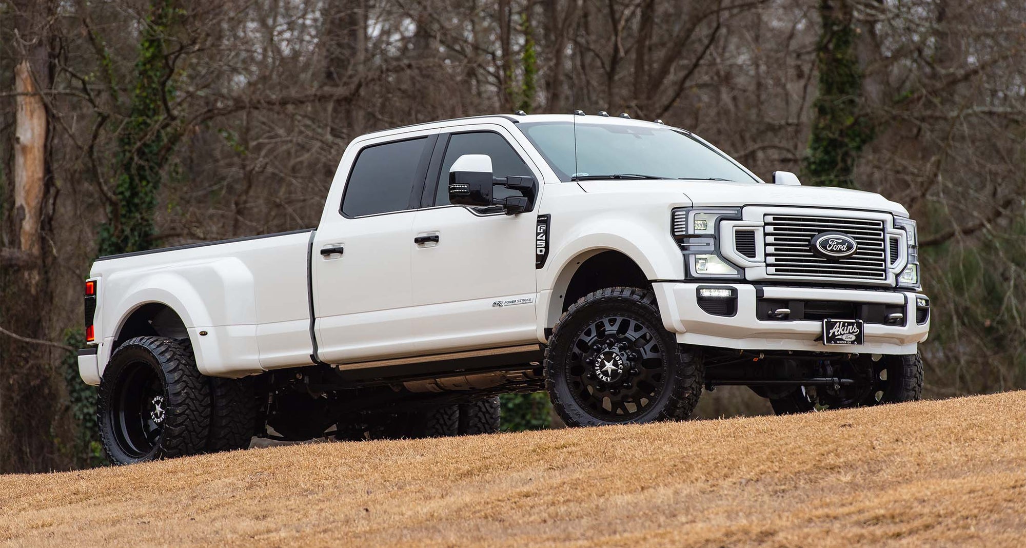 Custom Painted Emblems